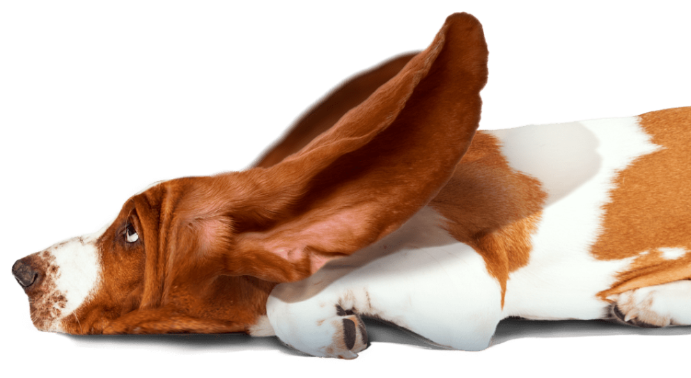 Contact Us | Bassett Services